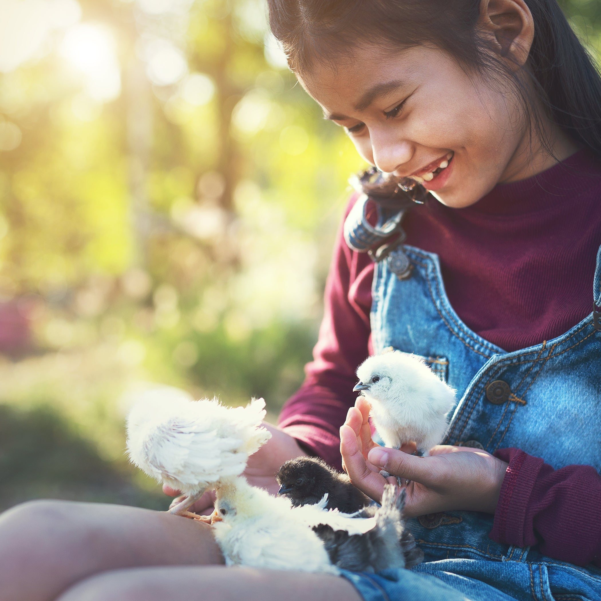 Hatching Chicks Policies & Instructions
