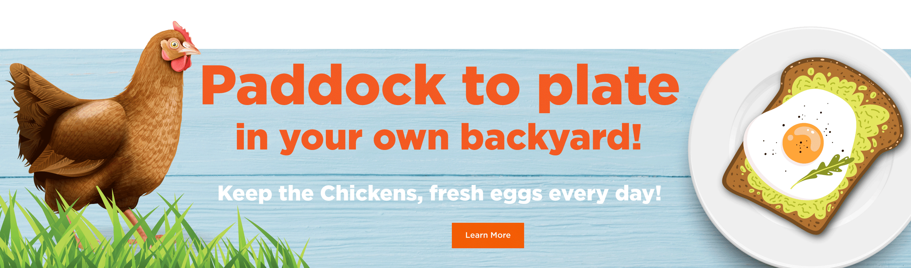 Hatching Chicks Program - Chick And Duckling Hatching For Schools ELCs