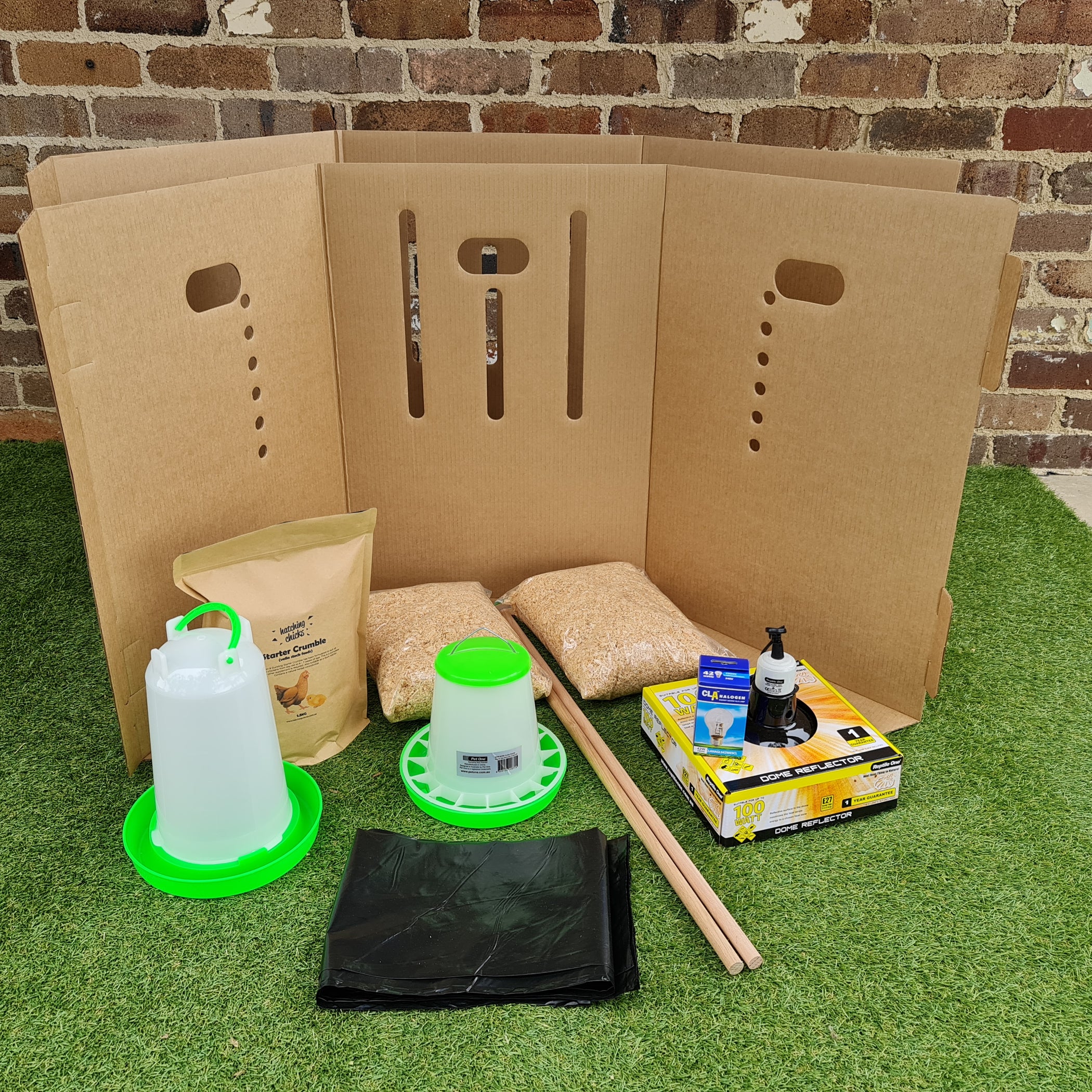 Hatching Chicks Program - Chick And Duckling Hatching For Schools ELCs