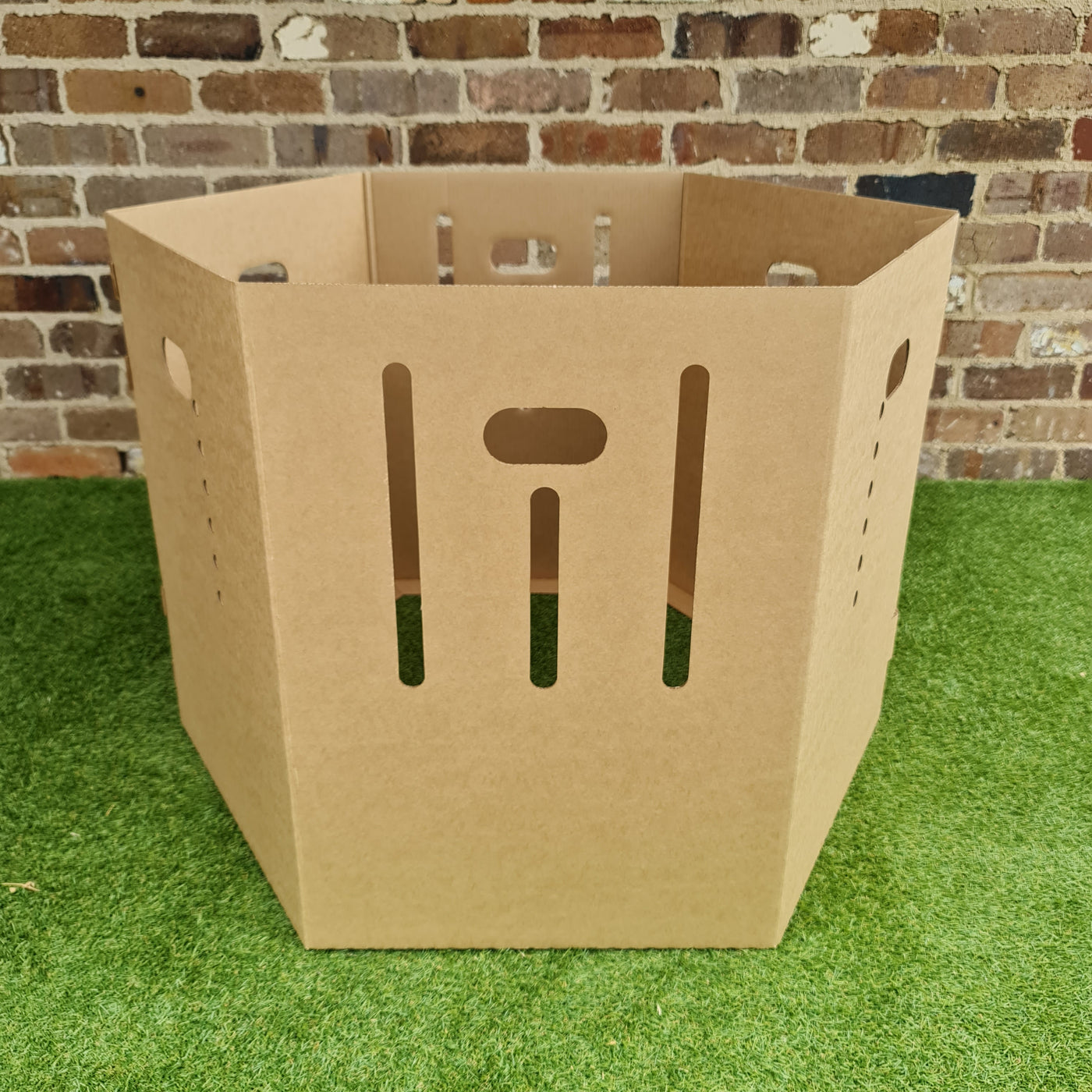 Hatching Chicks Program - Chick And Duckling Hatching For Schools ELCs