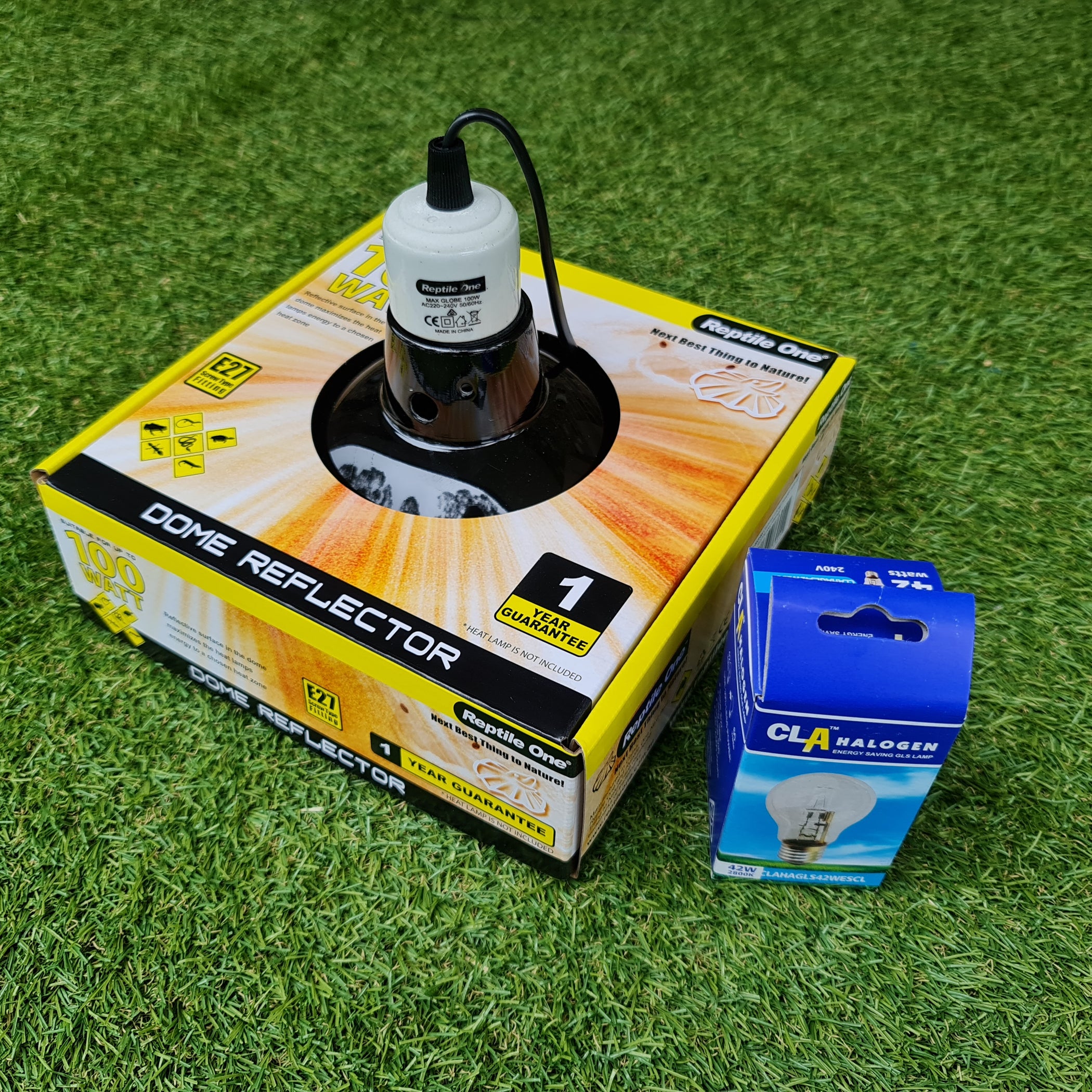 Hatching Chicks Program - Chick And Duckling Hatching For Schools ELCs