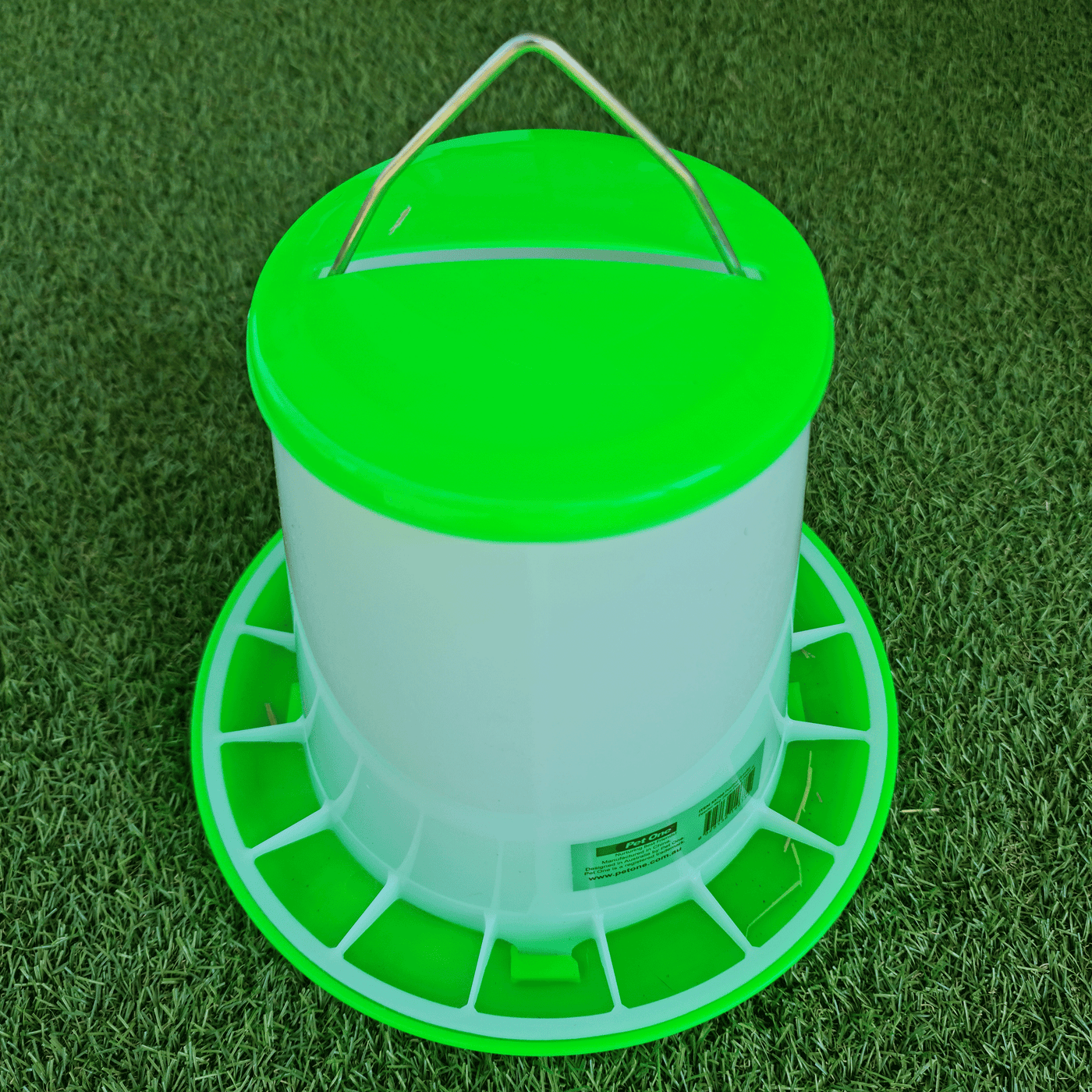 Hatching Chicks Program - Chick And Duckling Hatching For Schools ELCs